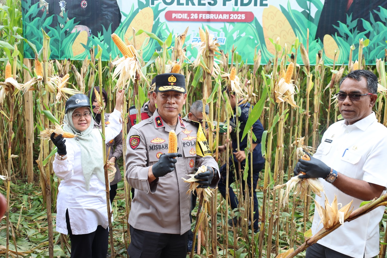 Wakapolda Aceh Panen Raya Jagung Tahap I Serentak